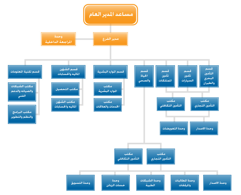 Organization | Sahara Insurance Company